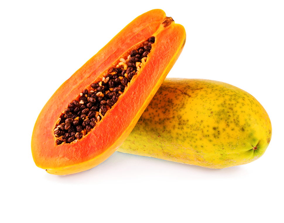 Makroclick | MYANMAR LONG PAPAYA 1PC